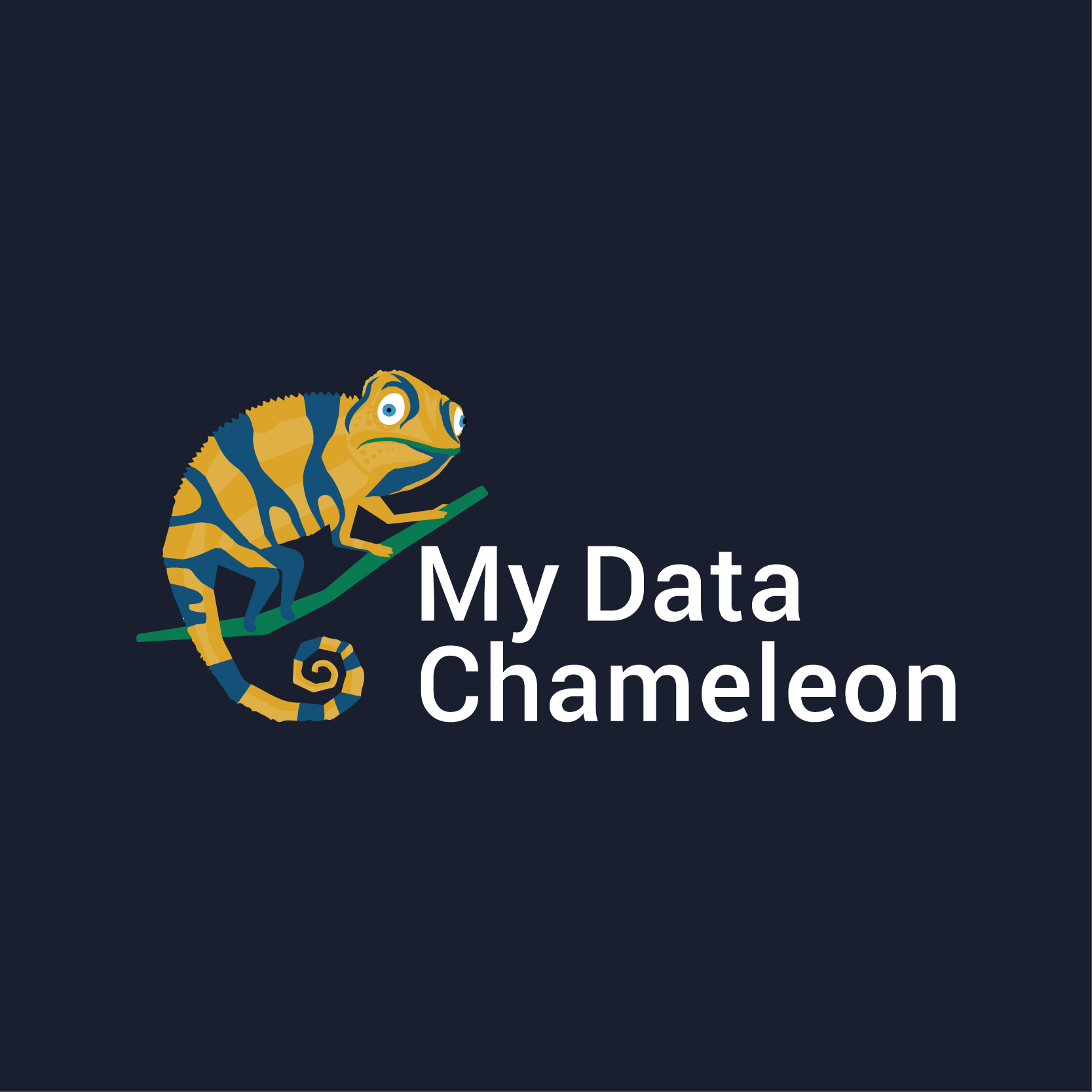 Plans @ My Data Chameleon